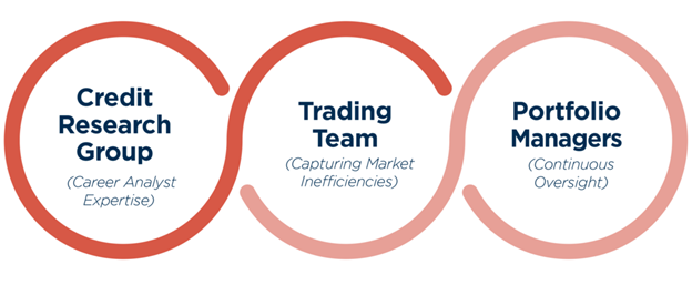 Asset Preservation Advisors | AdvisorIntelligence